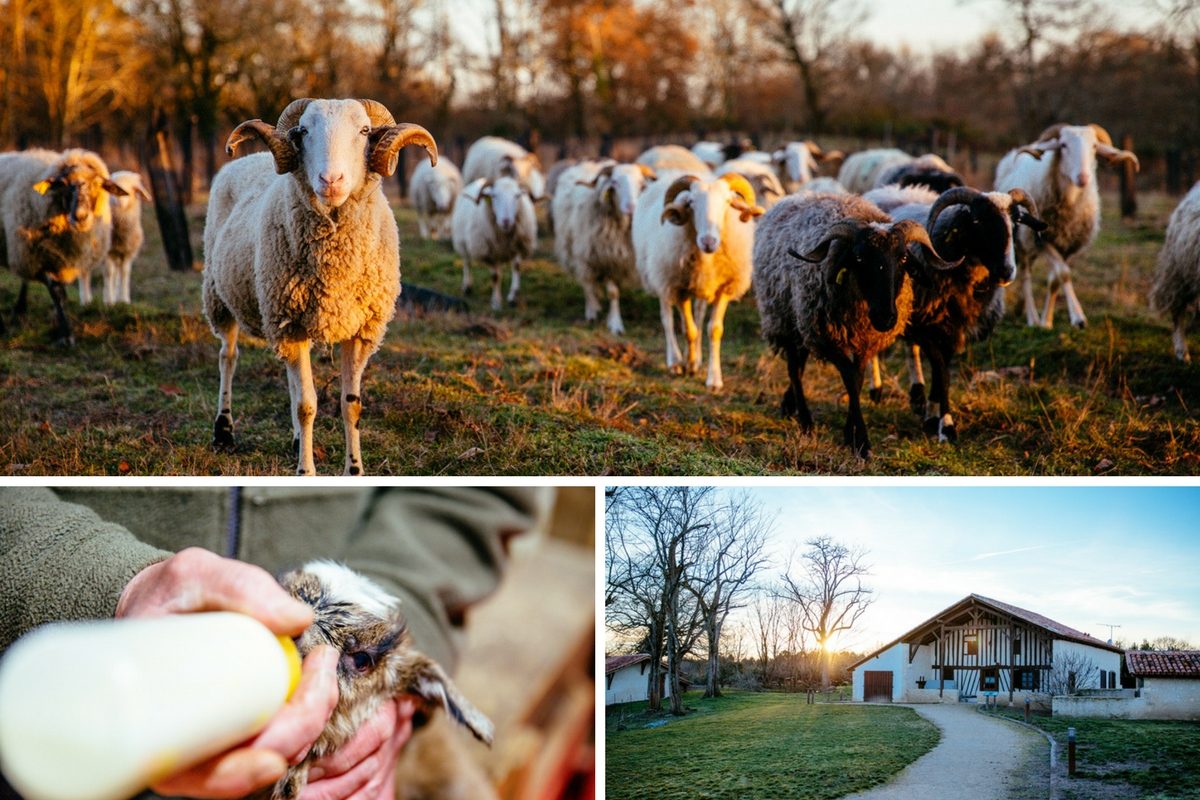 Week-end en Automne : 12 idées pour un weekend en France