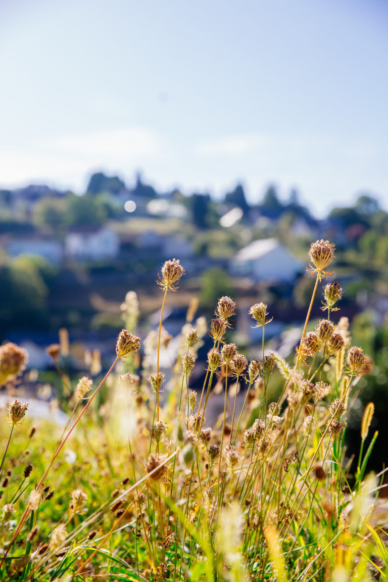 50 idées pour un week-end en France - Les Escapades en France