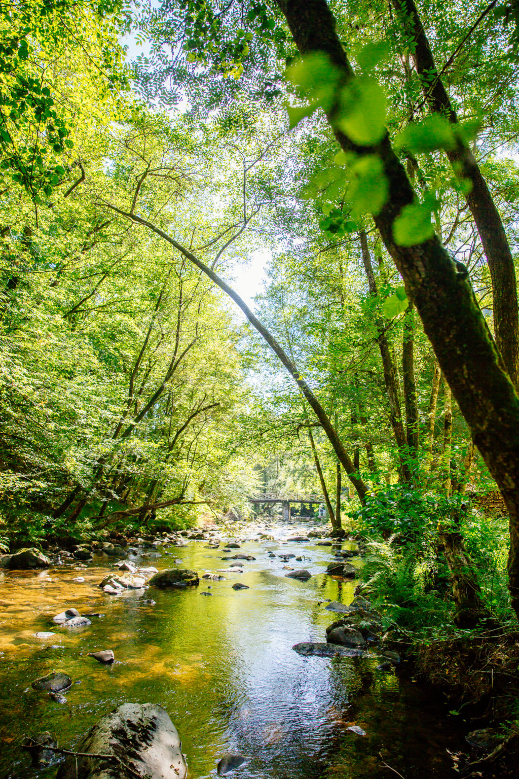 50 idées pour un week-end en France - Les Escapades en France